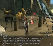 Chocobo (Final Fantasy XII) | Final Fantasy Wiki | Fandom