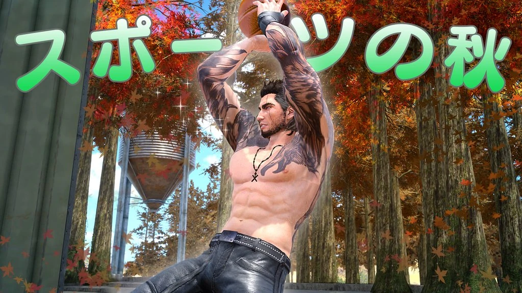 Final Fantasy Wiki:Featured Images/Fall Sports | Final Fantasy Wiki ...