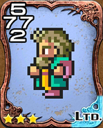 Freelancer (Final Fantasy V) | Final Fantasy Wiki | Fandom