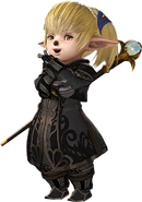 Shantotto (Dissidia NT) | Final Fantasy Wiki | Fandom