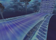 Terra (Final Fantasy IX) | Final Fantasy Wiki | Fandom