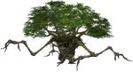Treant | Final Fantasy Wiki | Fandom