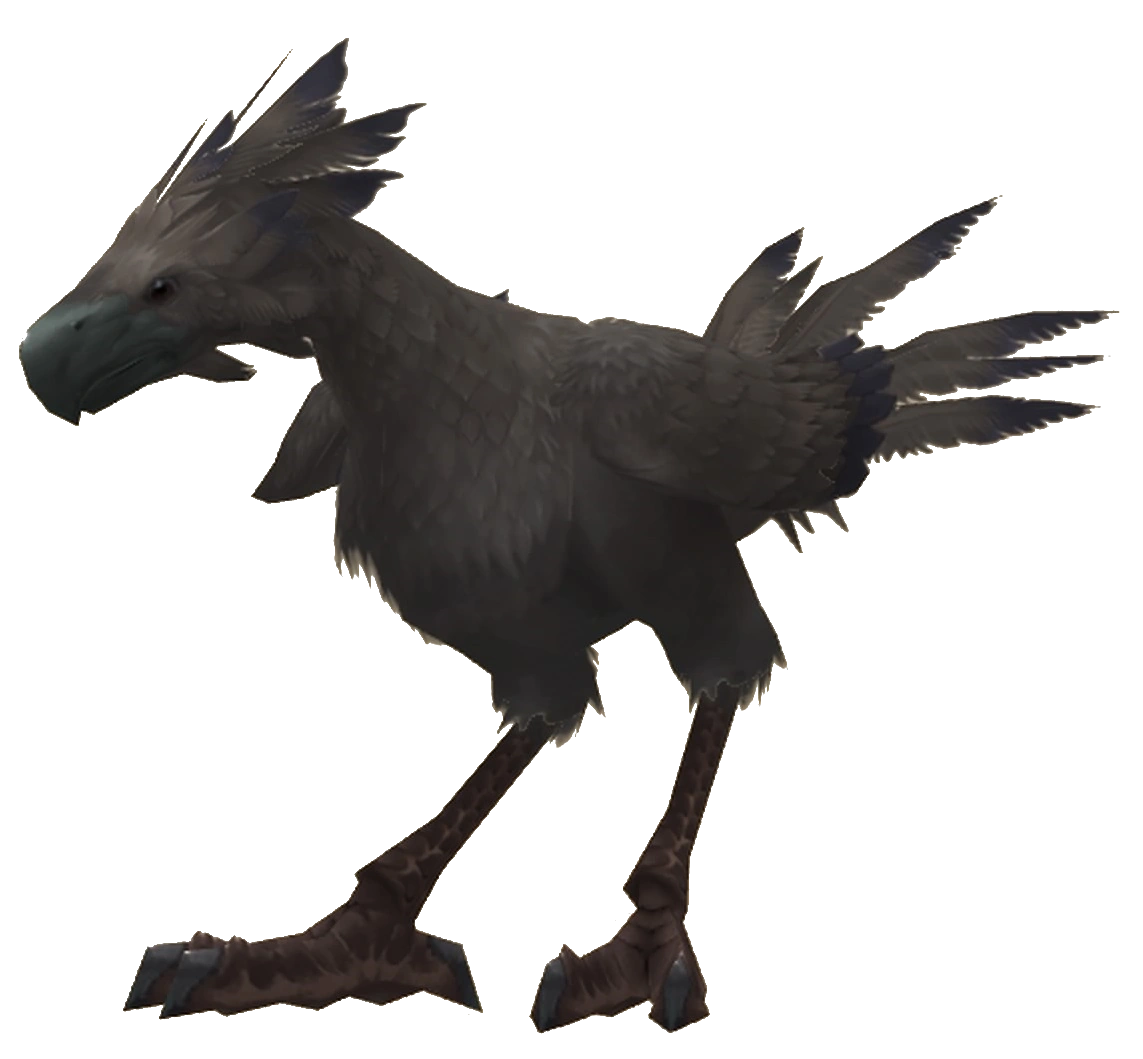 Schwarzer Chocobo | Final Fantasy Almanach | Fandom