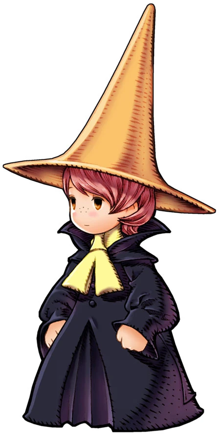 Schwarzmagier (FFIII) | Final Fantasy Almanach | Fandom
