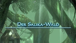 Salika-Wald | Final Fantasy Almanach | Fandom