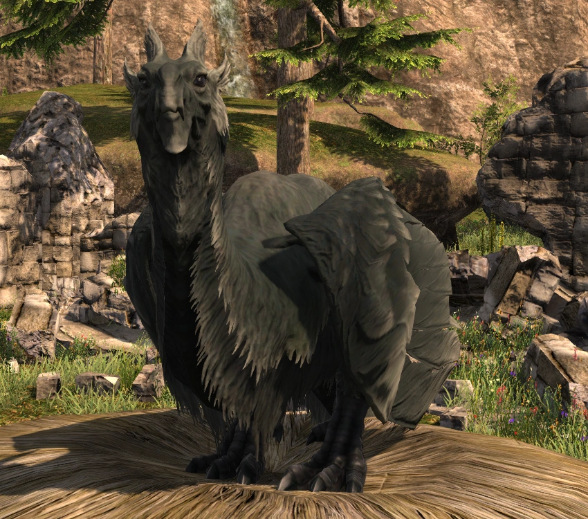 Seto (FFXIV) | Final Fantasy Almanach | Fandom