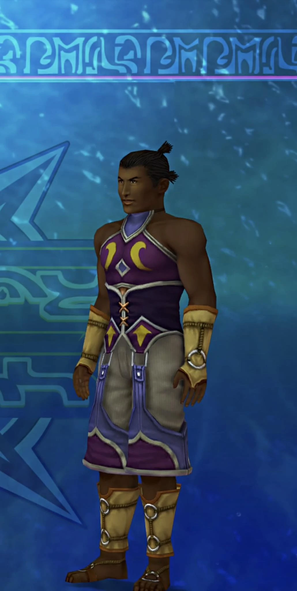 Ambus | Final Fantasy Almanach | Fandom