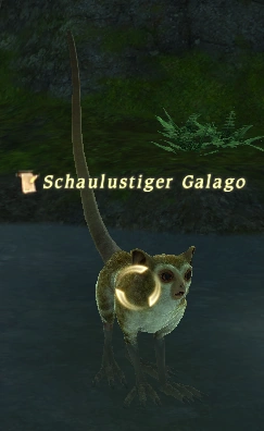 Schaulustiger Galago | FFXIV Wiki | Fandom