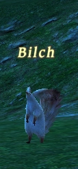 Bilch | FFXIV Wiki | Fandom