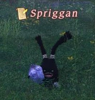 Spriggan | FFXIV Wiki | Fandom