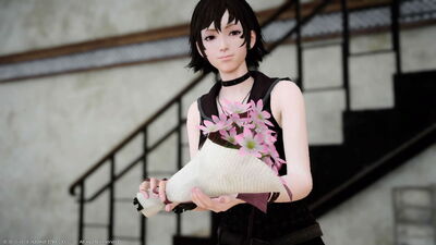 A Flower for Iris - Final Fantasy 15 (FFXV) Wiki
