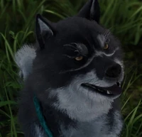 Umbra - Final Fantasy 15 (FFXV) Wiki