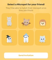 Invite | Finch: Self Care Pet Wiki | Fandom