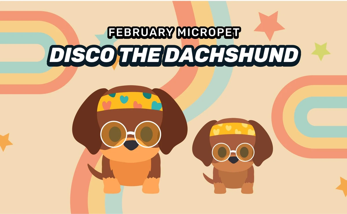 Disco the Dachshund | Finch: Self Care Pet Wiki | Fandom