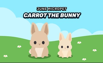 rabbit carrot google