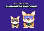 Micropets | Finch: Self Care Pet Wiki | Fandom