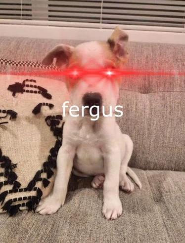 Fergus | Find grandpa Wiki | Fandom