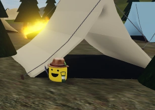 Camping Noob | Find The Noobs 2 Wiki | Fandom