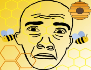 Beebo | Find the BiBo's Wiki | Fandom