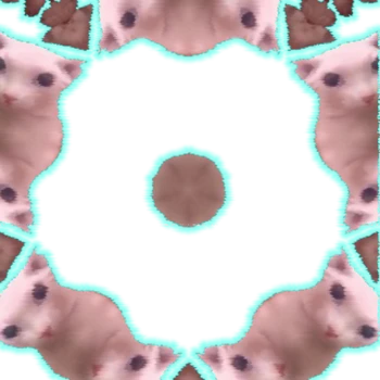 Kaleidoscope Bingus | Find The Binguses Wiki | Fandom