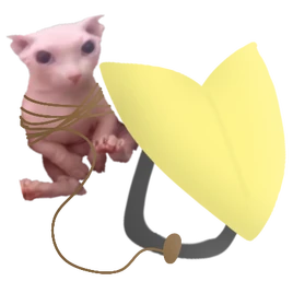 Gliding Bingus | Find The Binguses Wiki | Fandom