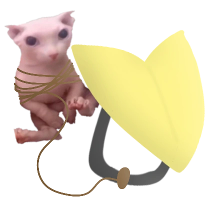 Gliding Bingus | Find The Binguses Wiki | Fandom