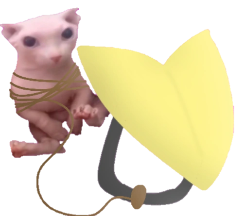 Gliding Bingus | Find The Binguses Wiki | Fandom