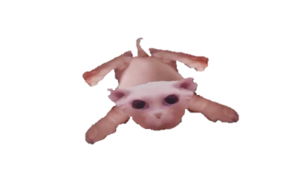 Floor Bingus | Find The Binguses Wiki | Fandom