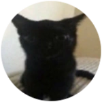 Sploinky | Find The Binguses Wiki | Fandom