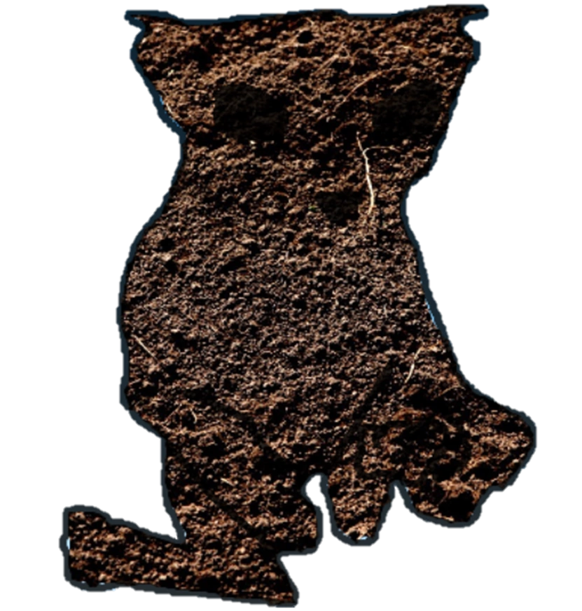 Dirt Bingus | Find The Binguses Wiki | Fandom