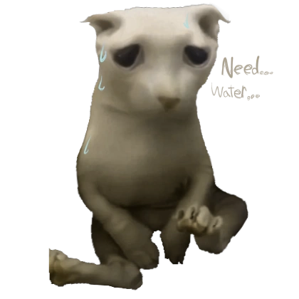 Dehydrated Bingus | Find The Binguses Wiki | Fandom