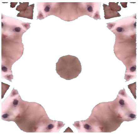 Kaleidoscope Bingus | Find The Binguses Wiki | Fandom