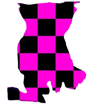 Missing Texture Bingus | Find The Binguses Wiki | Fandom