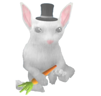 Bunny Bingus | Find The Binguses Wiki | Fandom