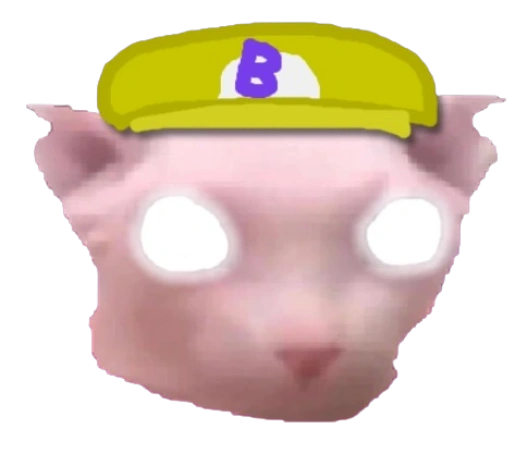 Bingus Apparition | Find The Binguses Wiki | Fandom