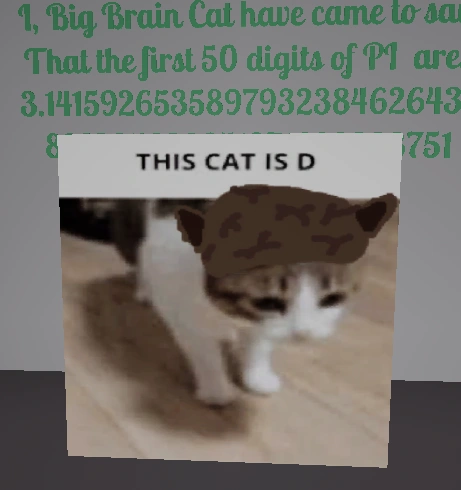 Big brain cat | Find the D Cats Wiki | Fandom