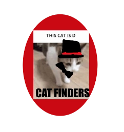 Find the D Cats Wiki | Fandom