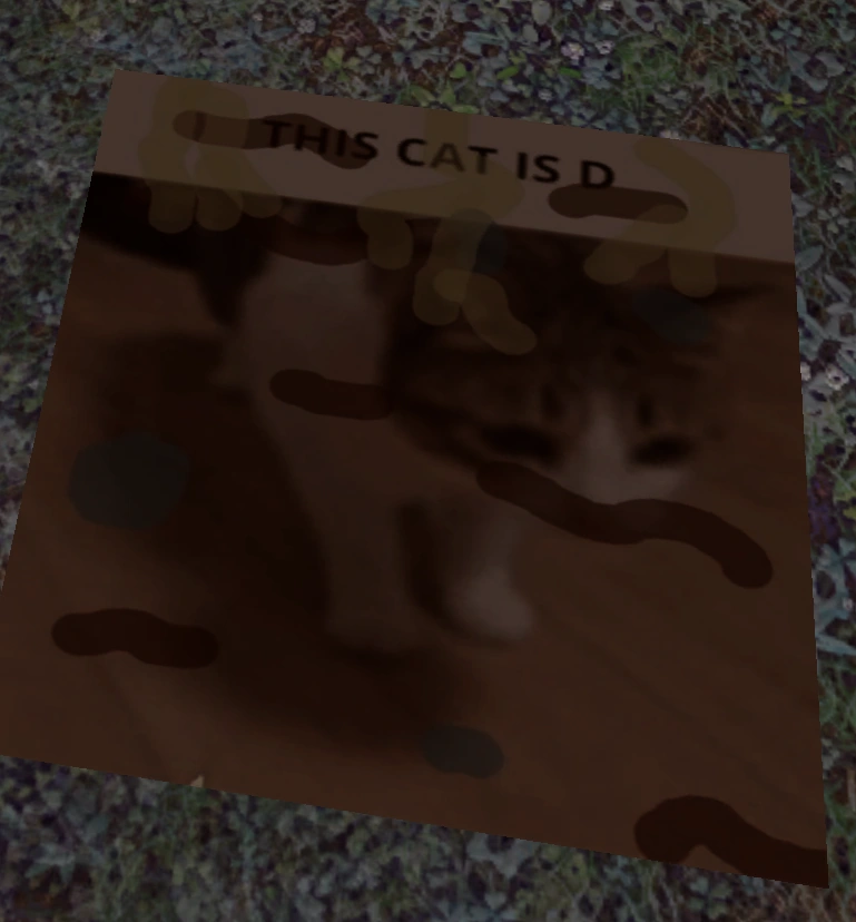 Dirt cat | Find the D Cats Wiki | Fandom