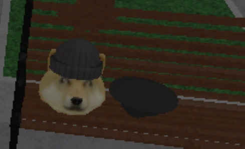 Poor Doge | Find The Doges 2 Wiki | Fandom