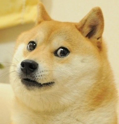 Doge | Find The Doges Divinity Wiki | Fandom
