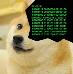 Digitized Doge | Find The Doges Divinity Wiki | Fandom