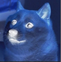 Inverted Doge | Find The Doges Divinity Wiki | Fandom