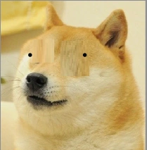 Derp Doge | Find The Doges Divinity Wiki | Fandom