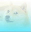 Cryo Doge | Find The Doges Divinity Wiki | Fandom