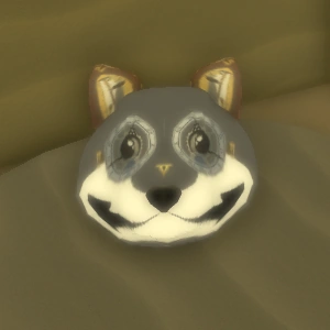 Clockwork Doge | Find The Doges Wiki | Fandom