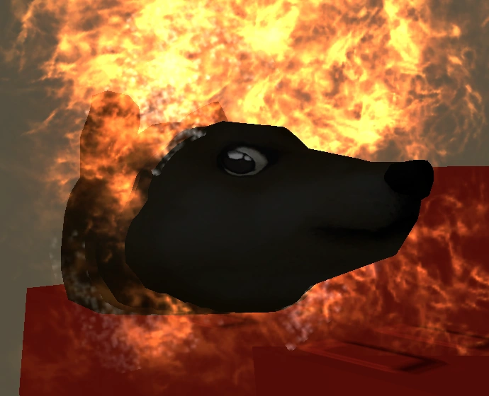 Burning Doge | Find The Doges Wiki | Fandom