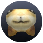 Backwards Doge | Find The Doges Wiki | Fandom