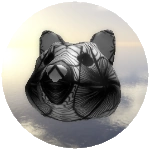 Endless Doge | Find The Doges Wiki | Fandom