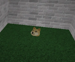 Tiny Doge | Find The Doges Wiki | Fandom