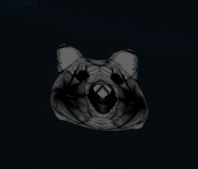 Endless Doge | Find The Doges Wiki | Fandom